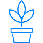 Careers - Bridge Partners